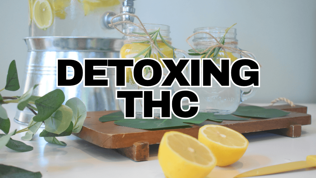 Detox Drinks for THC: Recipes and Tips - RESTART CBD & THC
