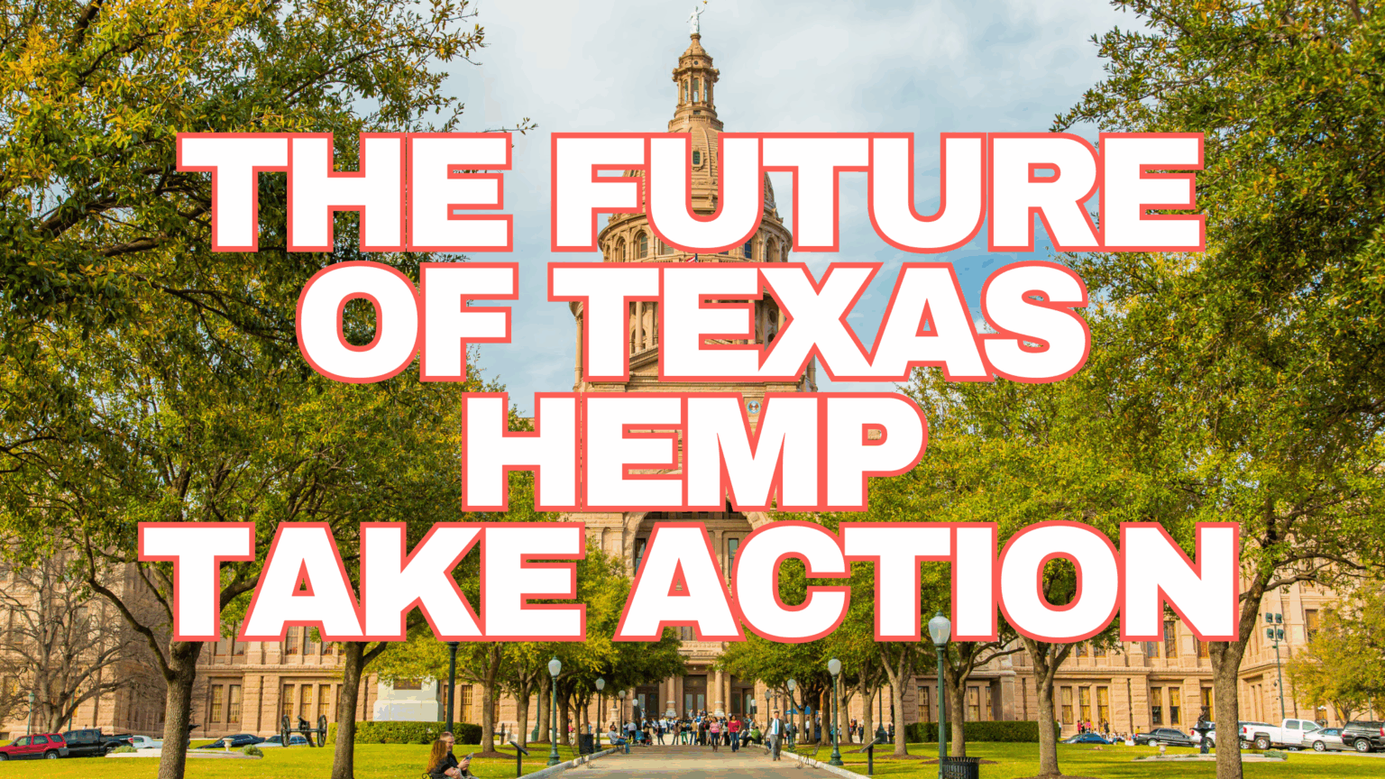 SB3 In Texas: What it Means for RESTART CBD, Our Customers, and The ...