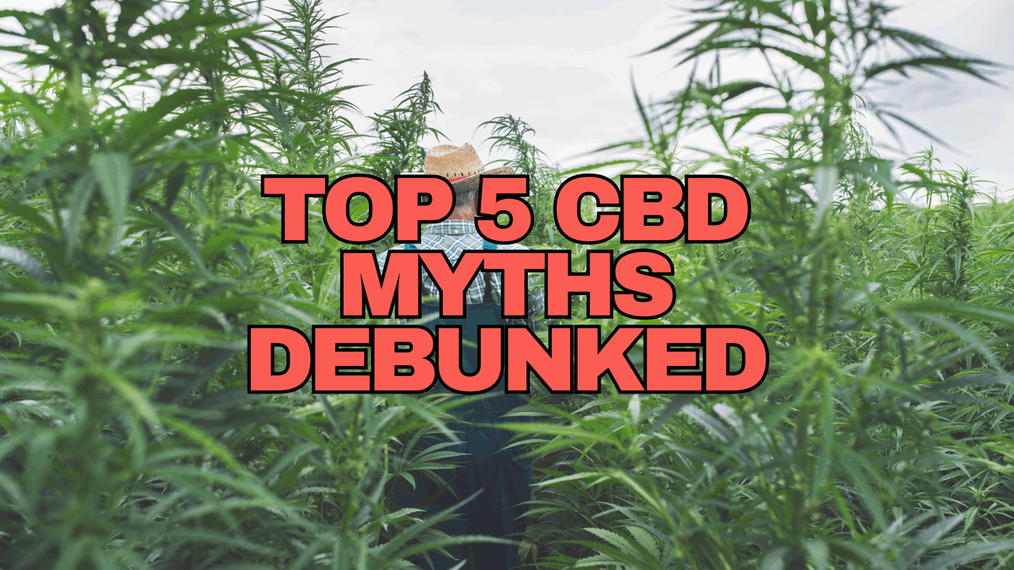 CBD Myths Debunked: 5 Common Misconceptions About CBD Products